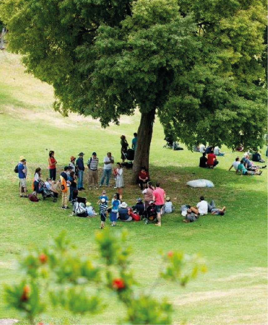 %d7%a1%d7%99%d7%95%d7%a8-%d7%9e%d7%a9%d7%a4%d7%97%d7%95%d7%aa - מרכז ...